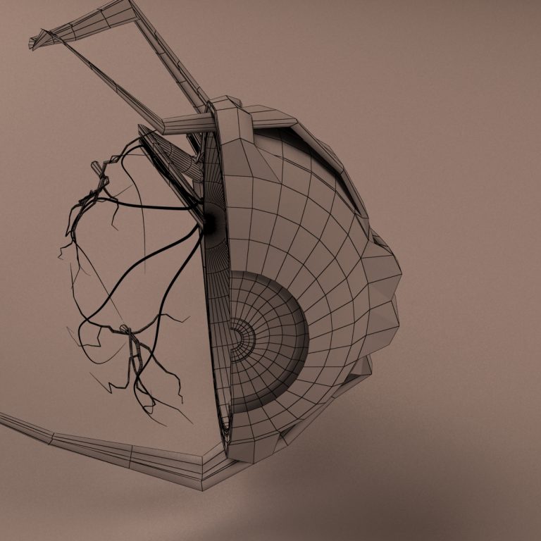 Anatomy Human Eye Cross Section 3D Model - Kezan's Portfolio