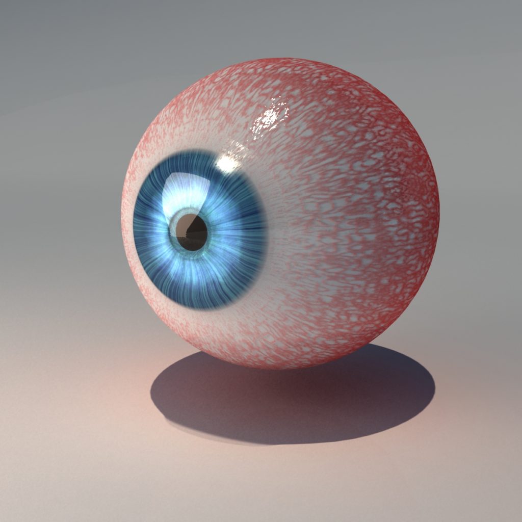 Anatomy Human Eye with animated pupil 3D Model - Kezan's Portfolio