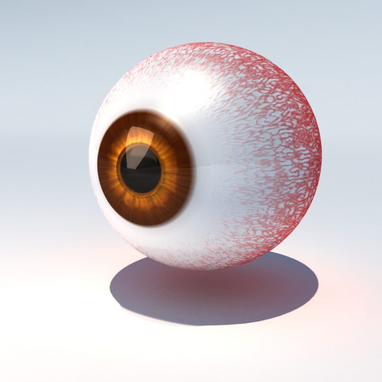 Anatomy Human Eye with animated pupil 3D Model - Kezan's Portfolio